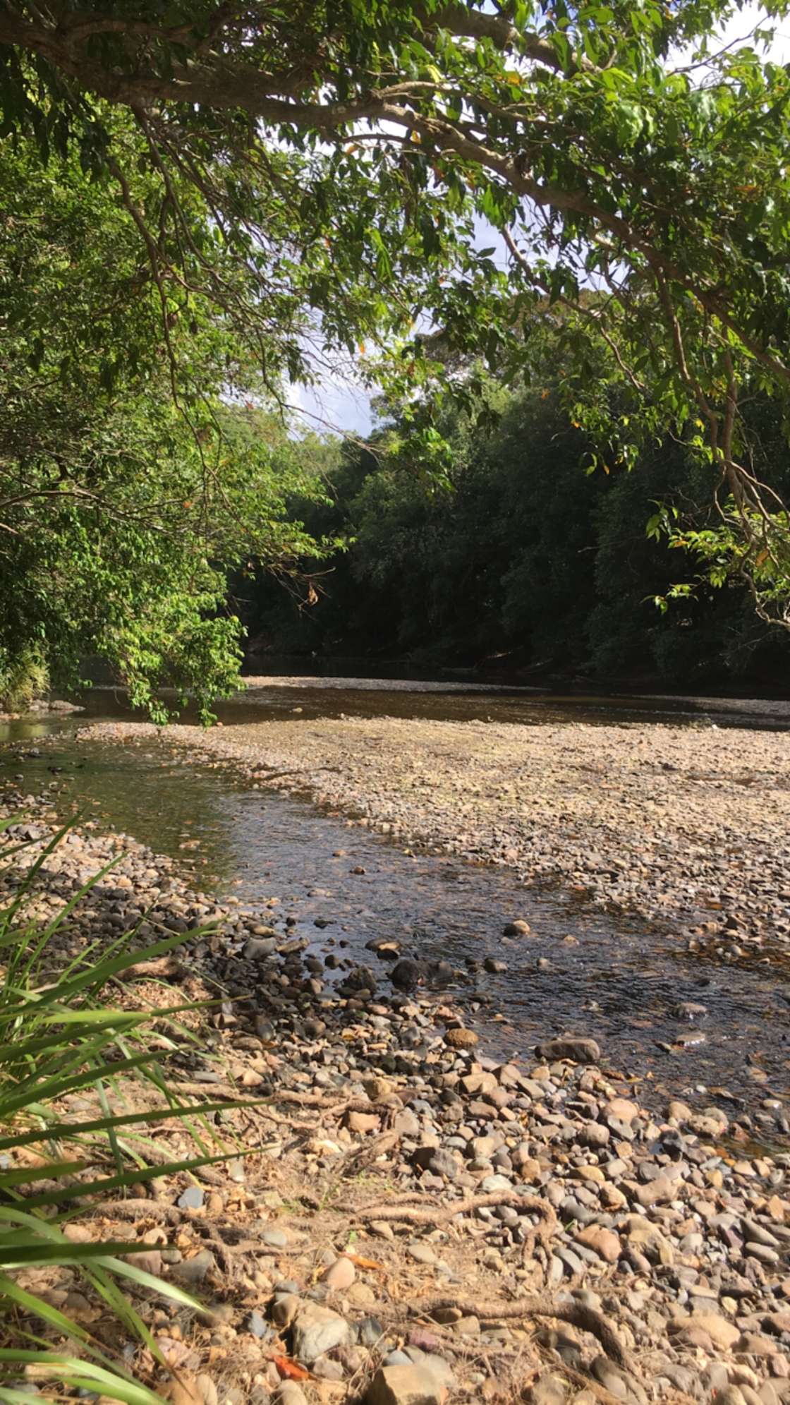 Koree Haven - Hipcamp in Beechwood, New South Wales