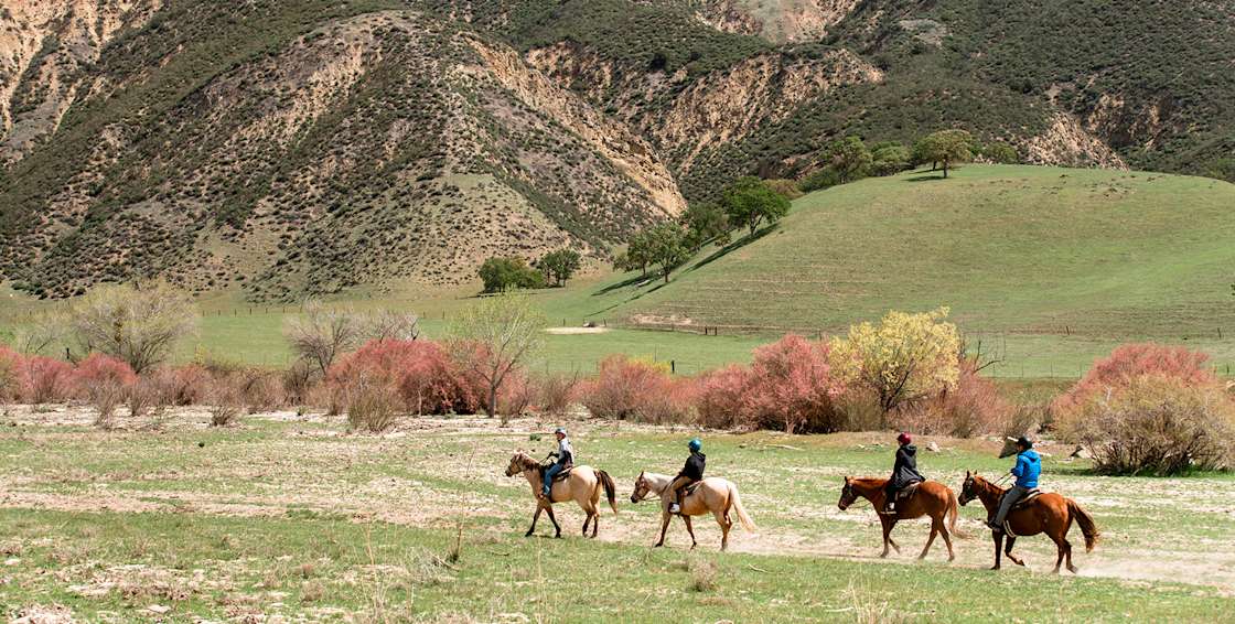 Camp near Pinnacles National Park - Hipcamp in Paicines, California