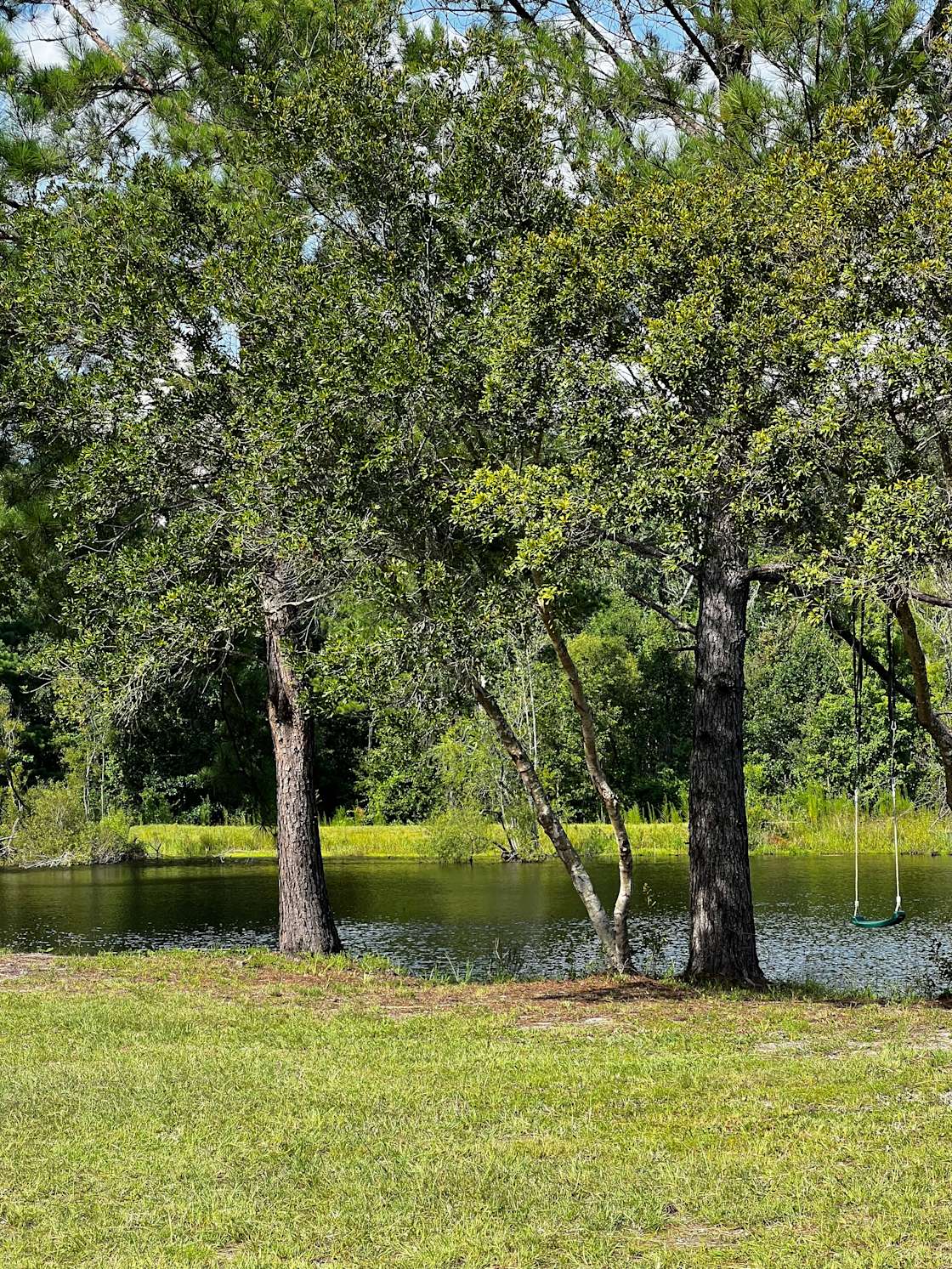 Compound 44 - Hipcamp in Lake City, Florida