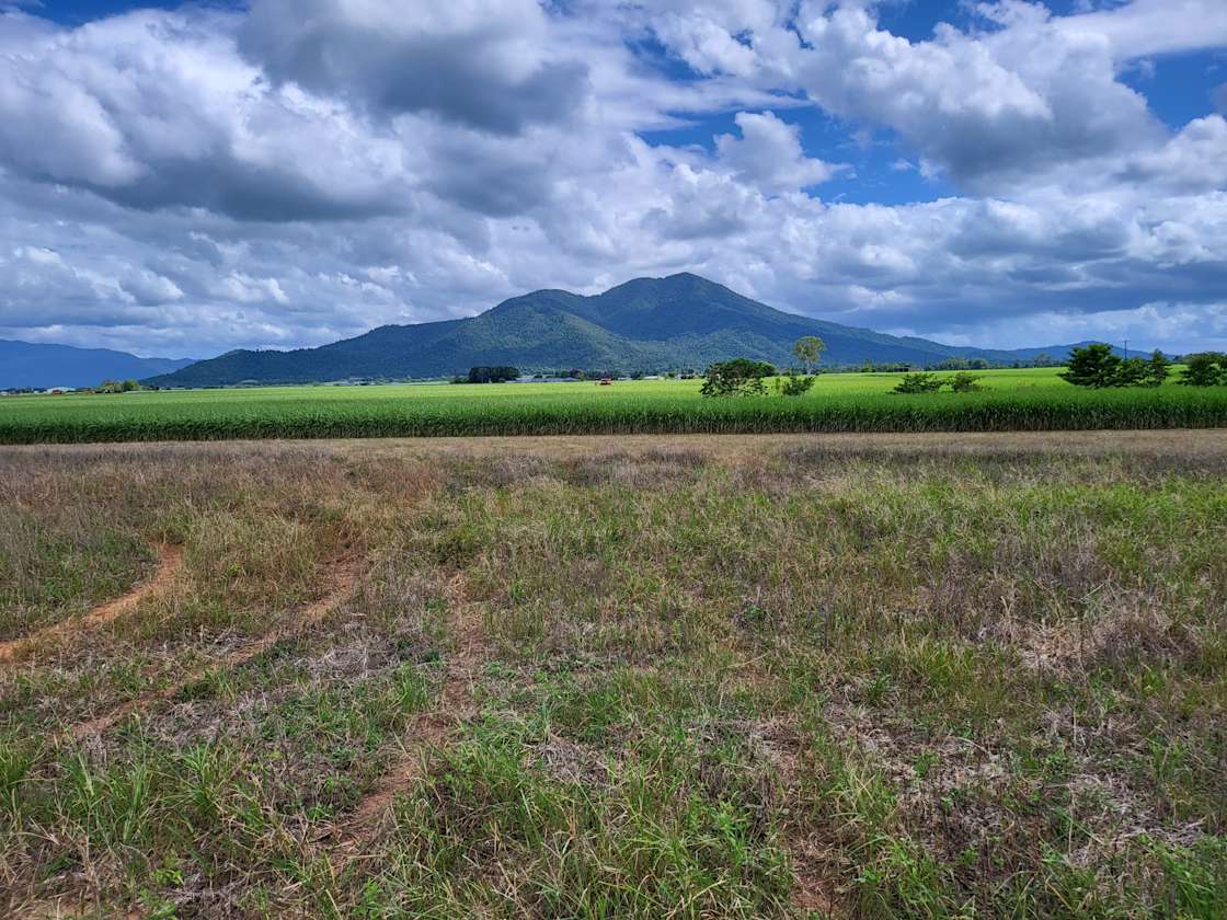 Riley Tully River Camp - Hipcamp in Tully, Queensland