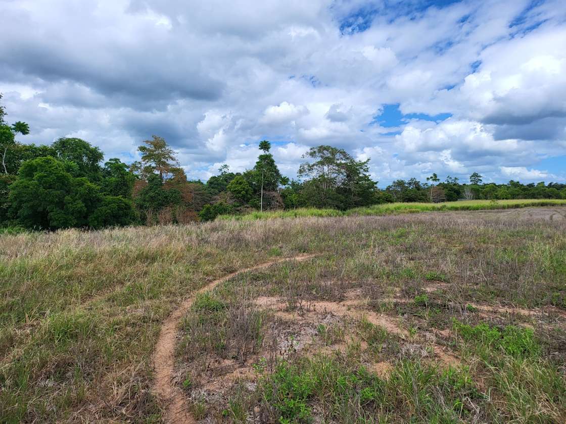 Riley Tully River Camp - Hipcamp in Tully, Queensland