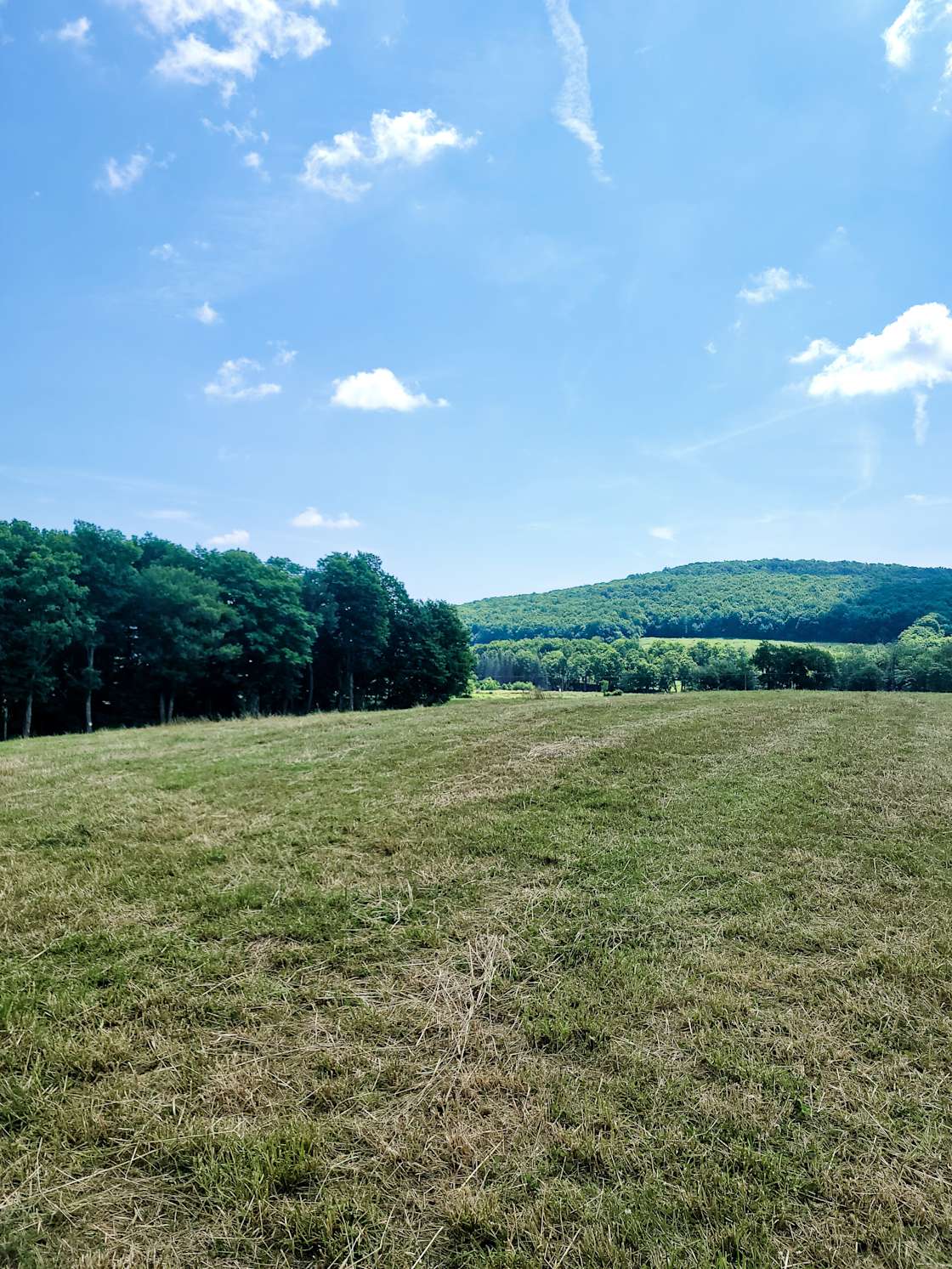 Wrighter Lake Farms - Hipcamp in Thompson, Pennsylvania