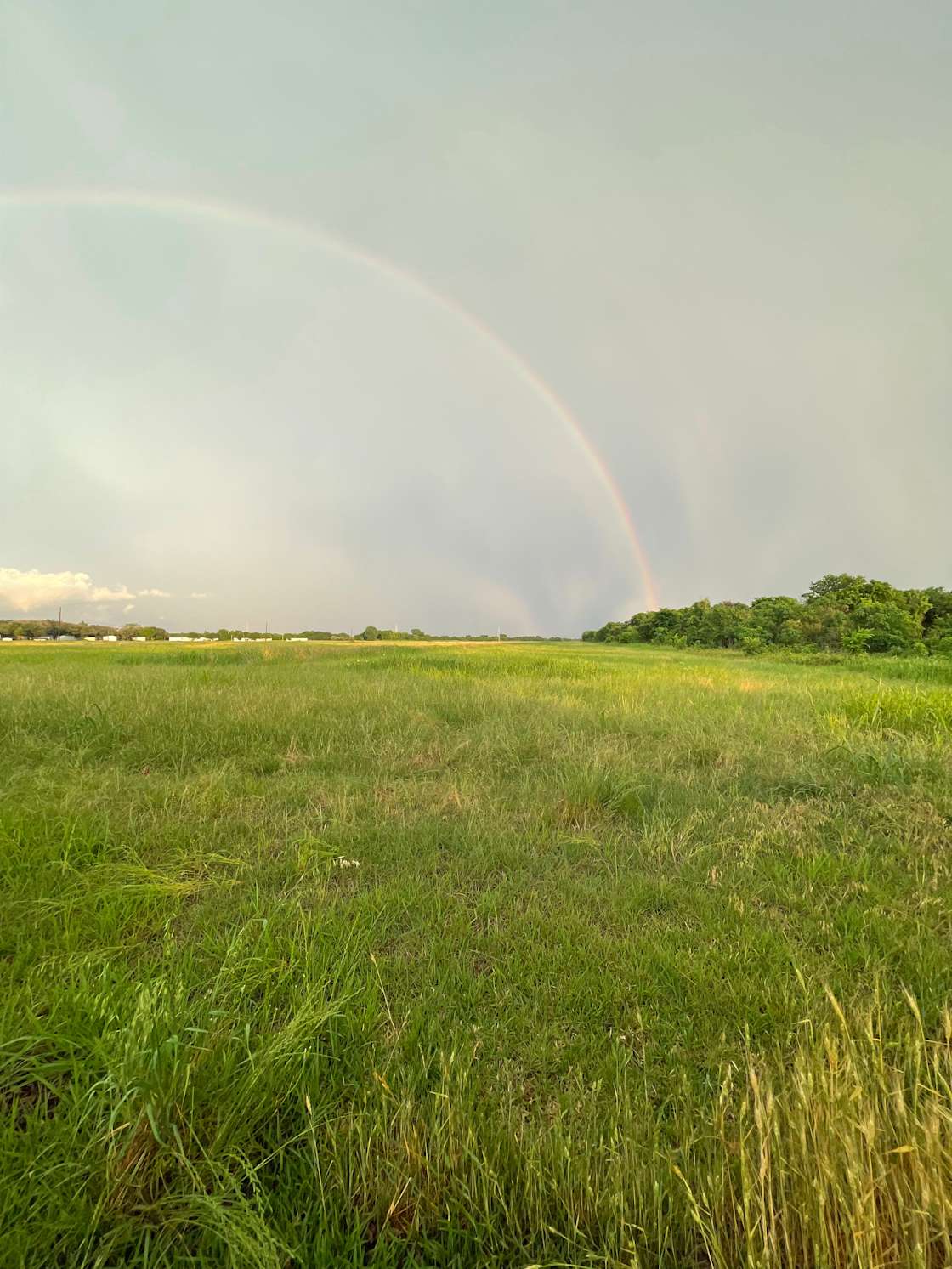 Country RV Site Blackland Prairie - Hipcamp in Maxwell, Texas