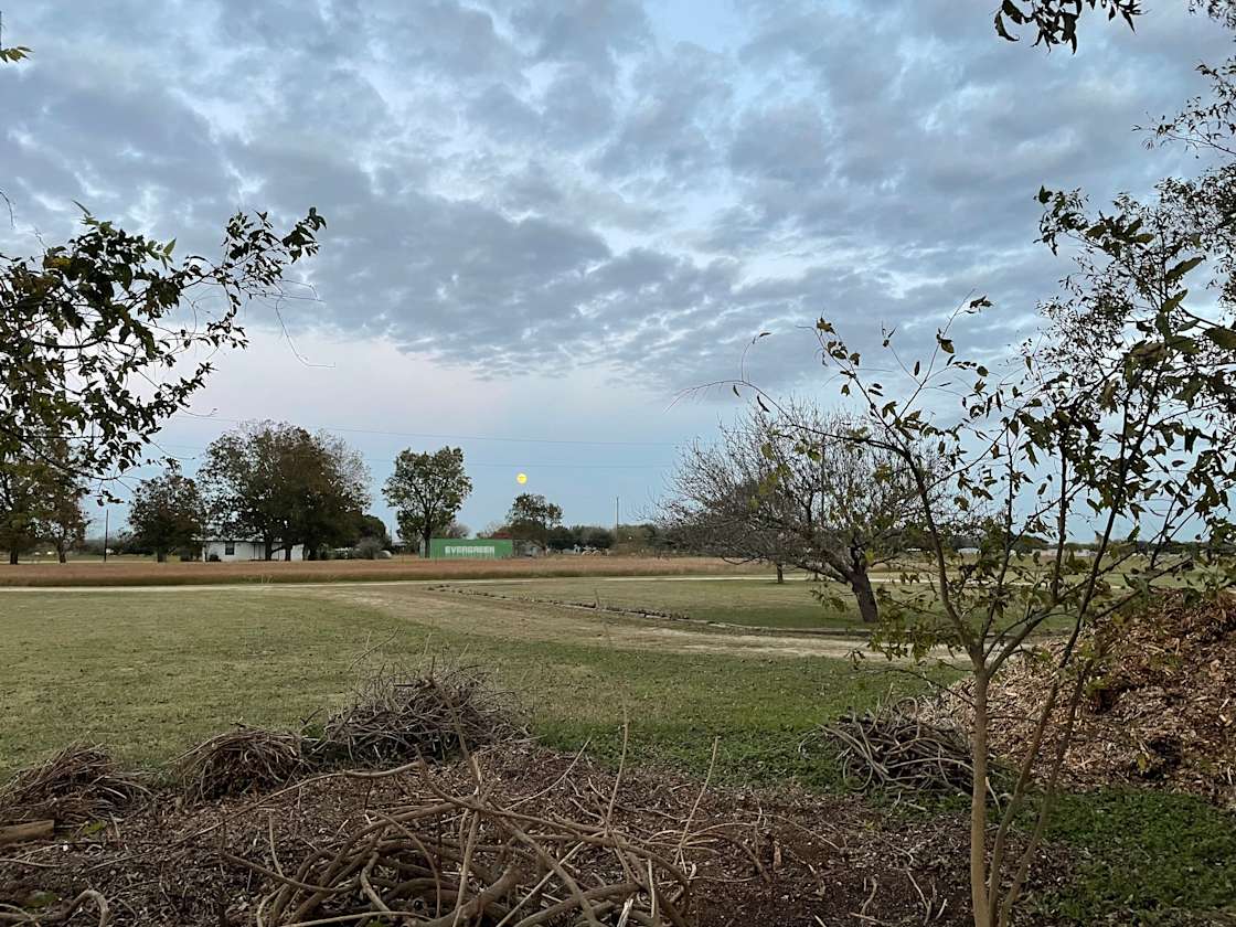 Country RV Site Blackland Prairie - Hipcamp in Maxwell, Texas