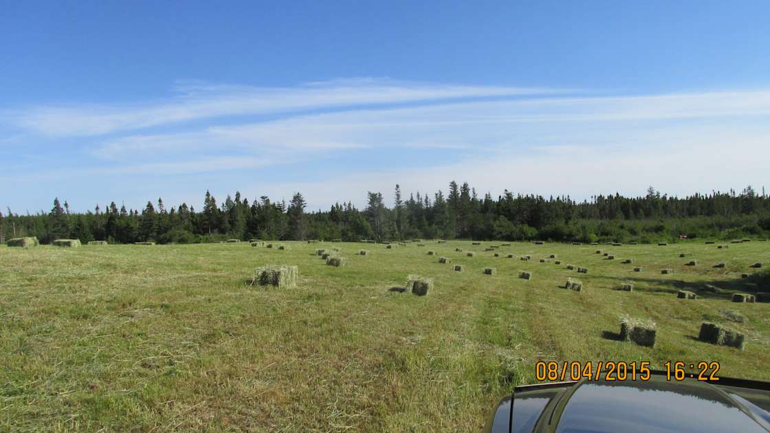 Three Mile Ridge Farm Stay - Hipcamp in Gander, Newfoundland and Labrador