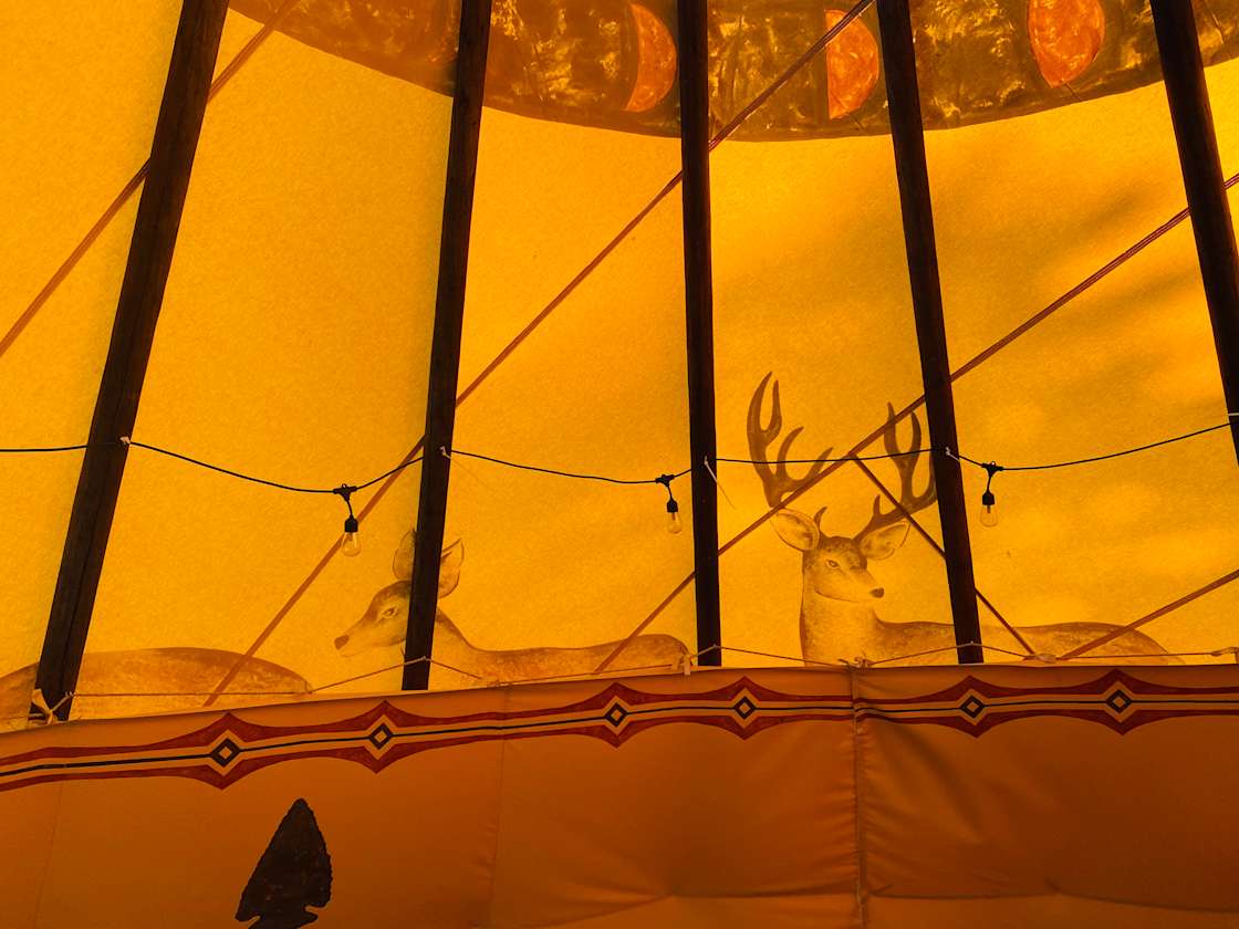 Cherokee Valley Bison Ranch Creekside Retreat - Hipcamp in Thornville, Ohio