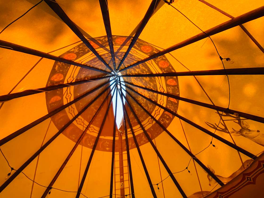 Cherokee Valley Bison Ranch Creekside Retreat - Hipcamp in Thornville, Ohio