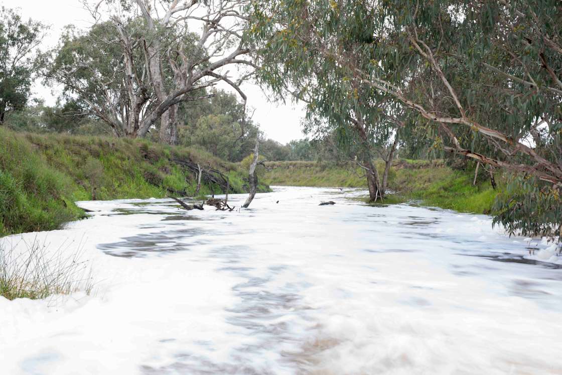 Cowalla Camping & The Healing Haven - Hipcamp in Cowalla, Western Australia