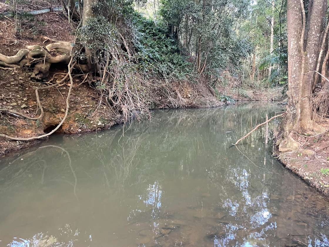 Kin Kin Creekside Camp - Hipcamp in Kin Kin, Queensland