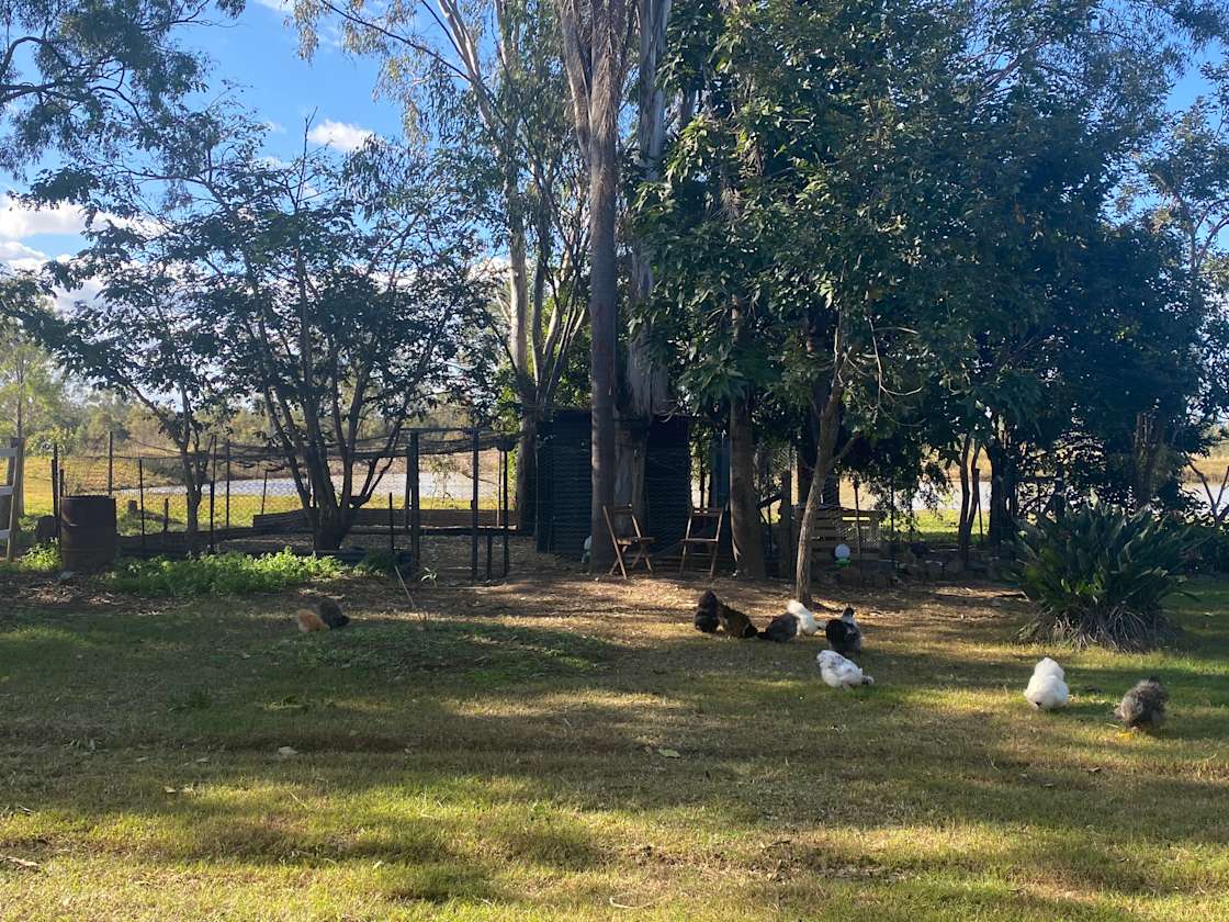 Poores Outback Property - Hipcamp in Mutdapilly, Queensland