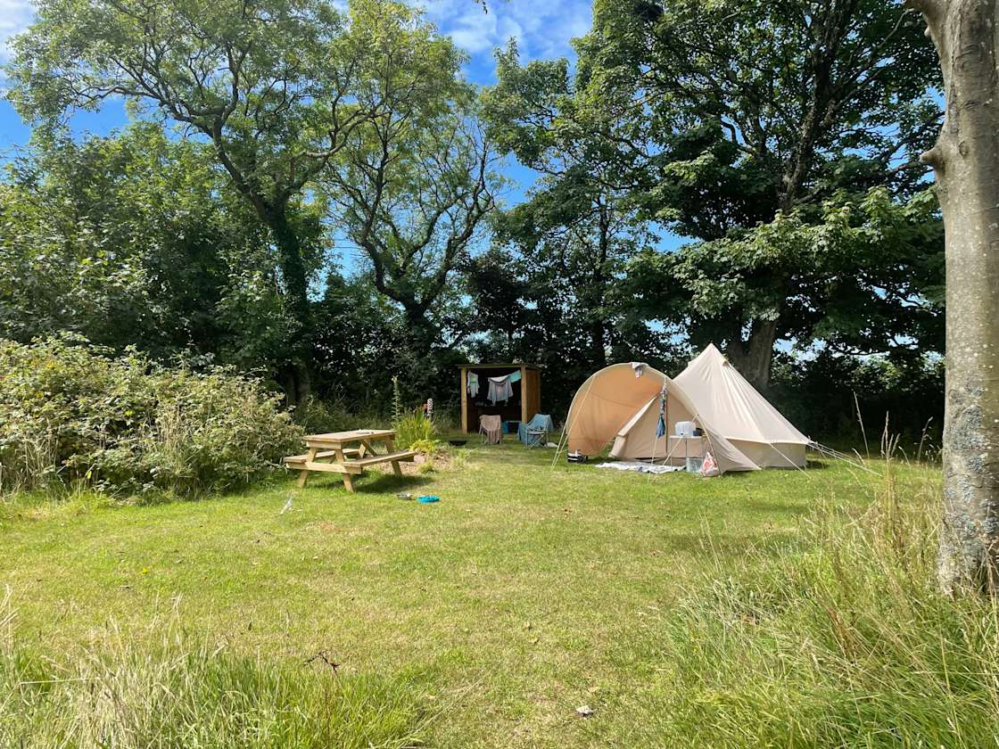 Little Welsh Wood Camping - Hipcamp in Pembrokeshire, Wales
