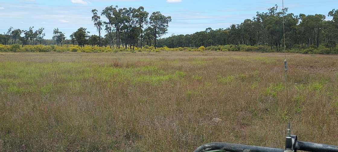 Canoona Park - Hipcamp in Glendale, Queensland