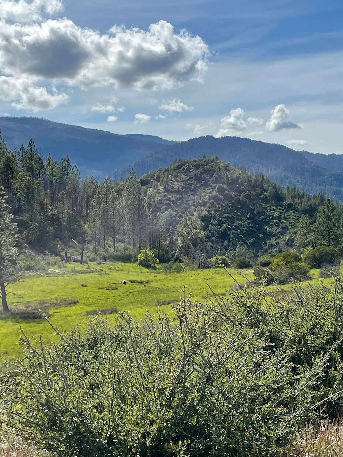 Wilderness Retreat - Hipcamp in Hyampom, California