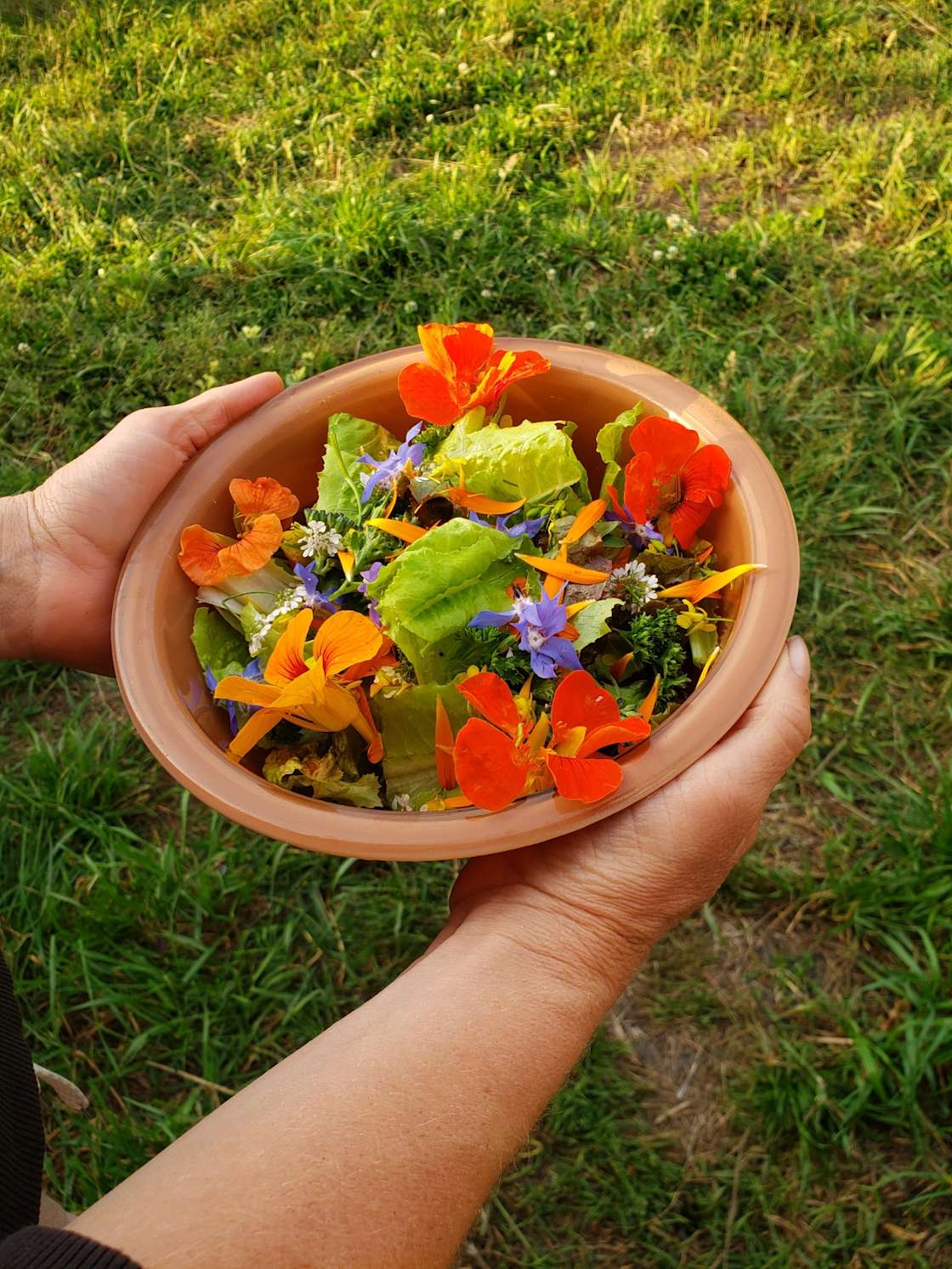 Ossia Village Farm - Hipcamp in Crescent City, California