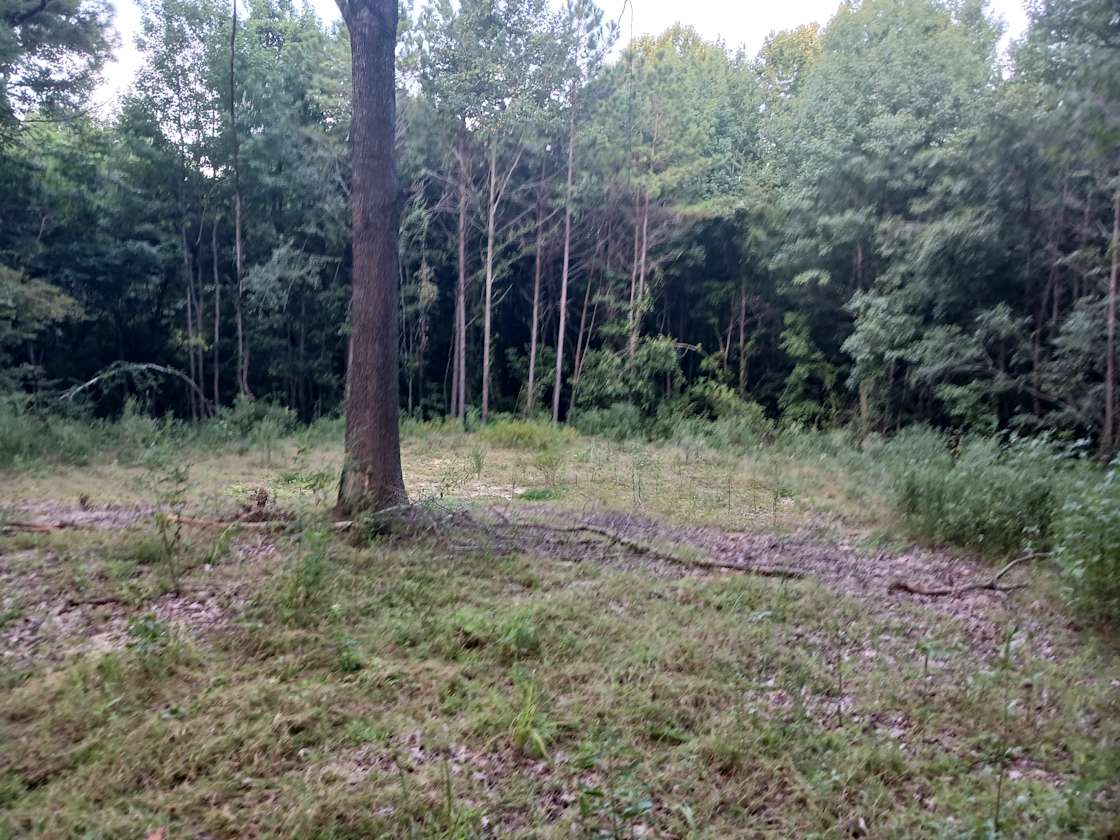 Awake-end Woods - Hipcamp in Lake Cormorant, Mississippi
