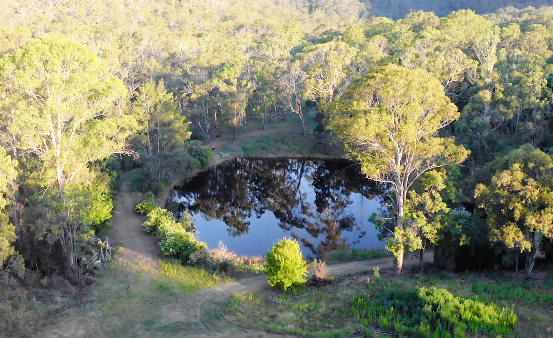 Long Neck Farm - Hipcamp in Allora, Queensland