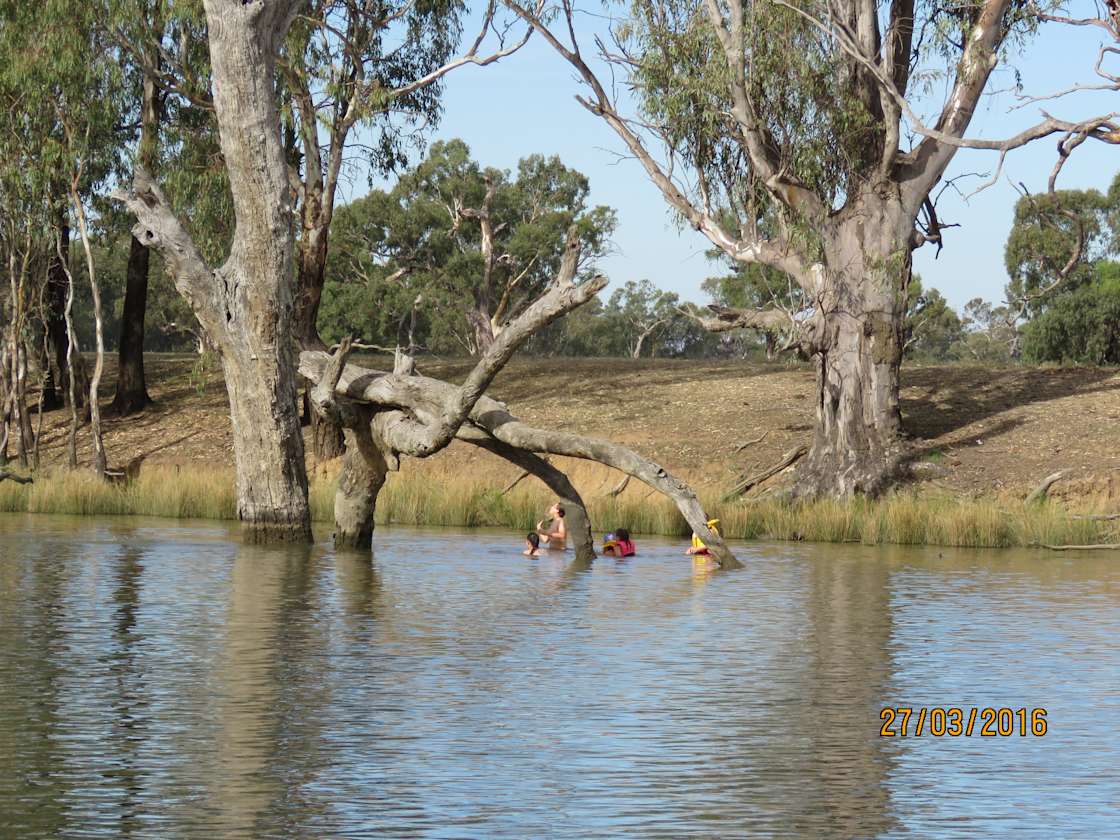 Cudgella on Bundidgerry Creek - Hipcamp in Narrandera, New South Wales