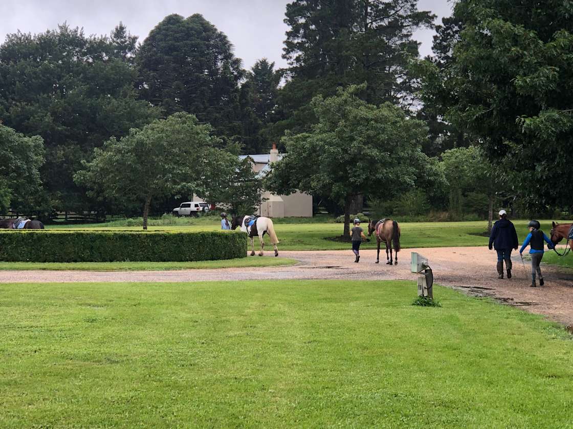 Sutton Farm Equestrian Centre - Hipcamp in Sutton Forest, New South Wales