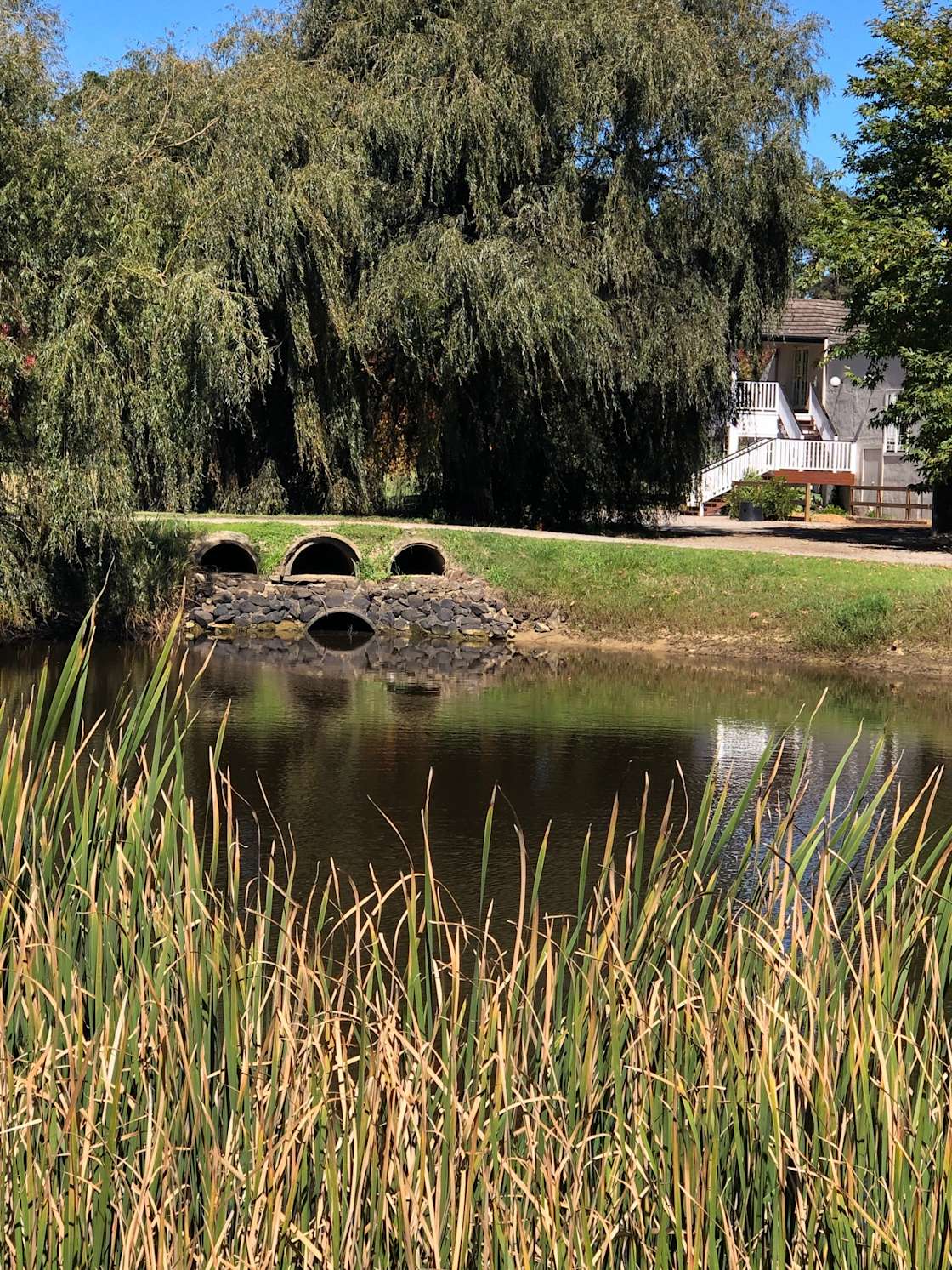 Sutton Farm Equestrian Centre - Hipcamp in Sutton Forest, New South Wales