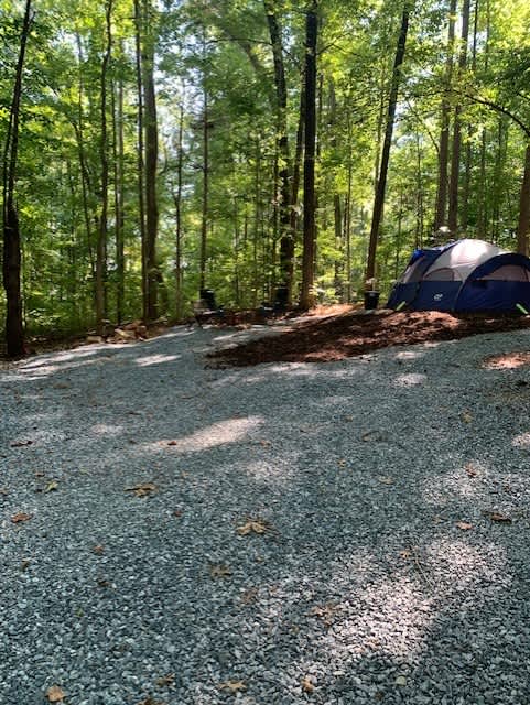 Hidden Oasis At High Rock Lake - Hipcamp in Lexington, North Carolina