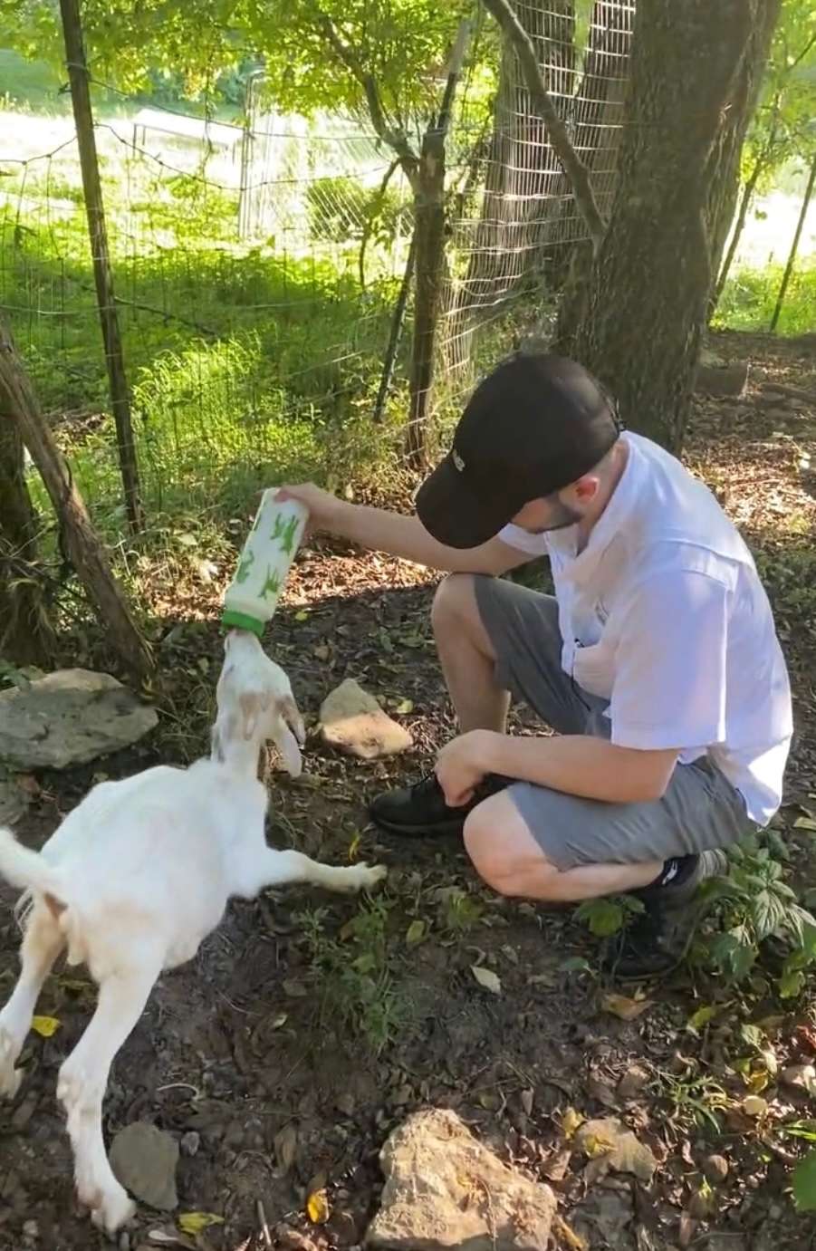 Quarter Spring Farm - Hipcamp in Liberty, Tennessee