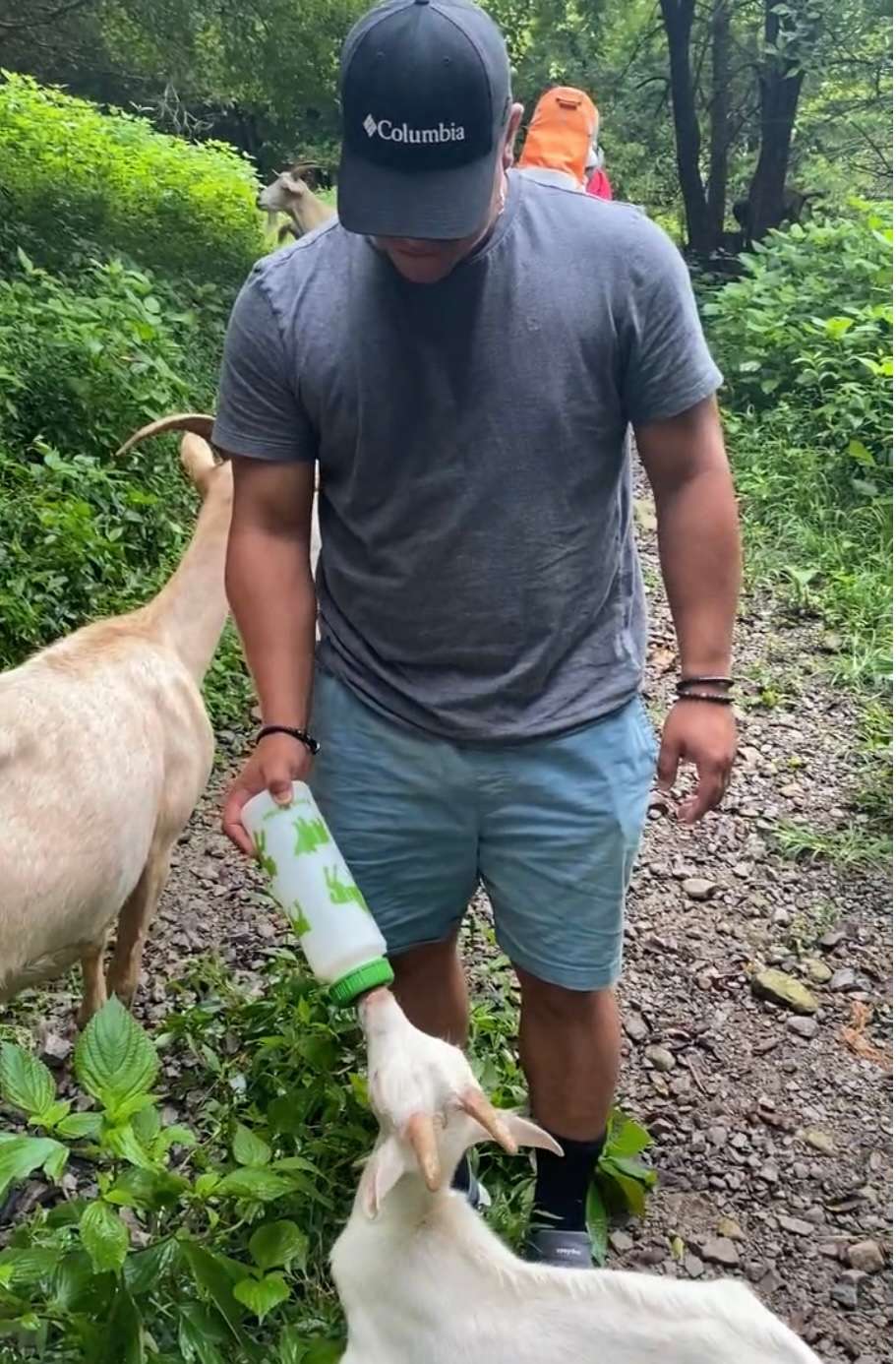 Quarter Spring Farm - Hipcamp in Liberty, Tennessee