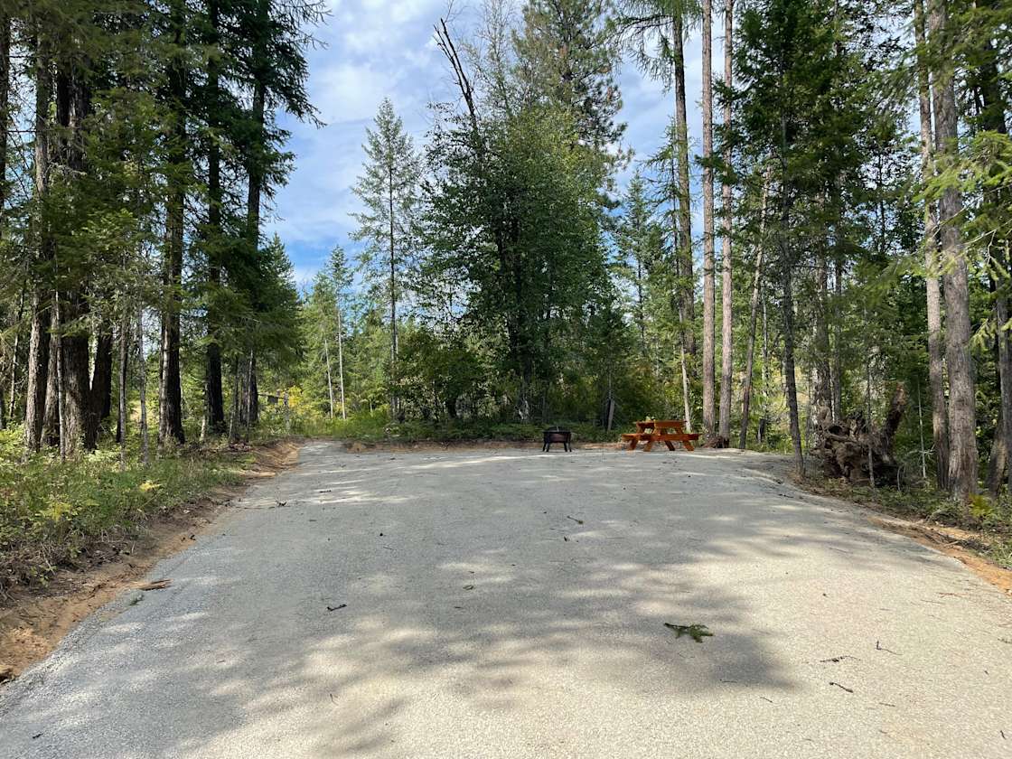 The Woods in Sagle - Hipcamp in Sagle, Idaho