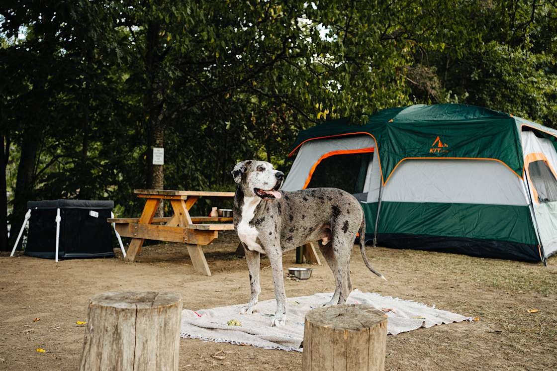 Historic Riverside Farm - Hipcamp in Walden, New York