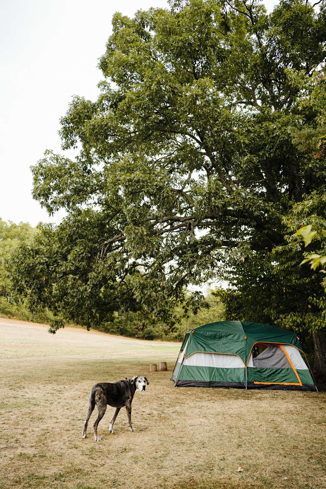 Historic Riverside Farm - Hipcamp in Walden, New York