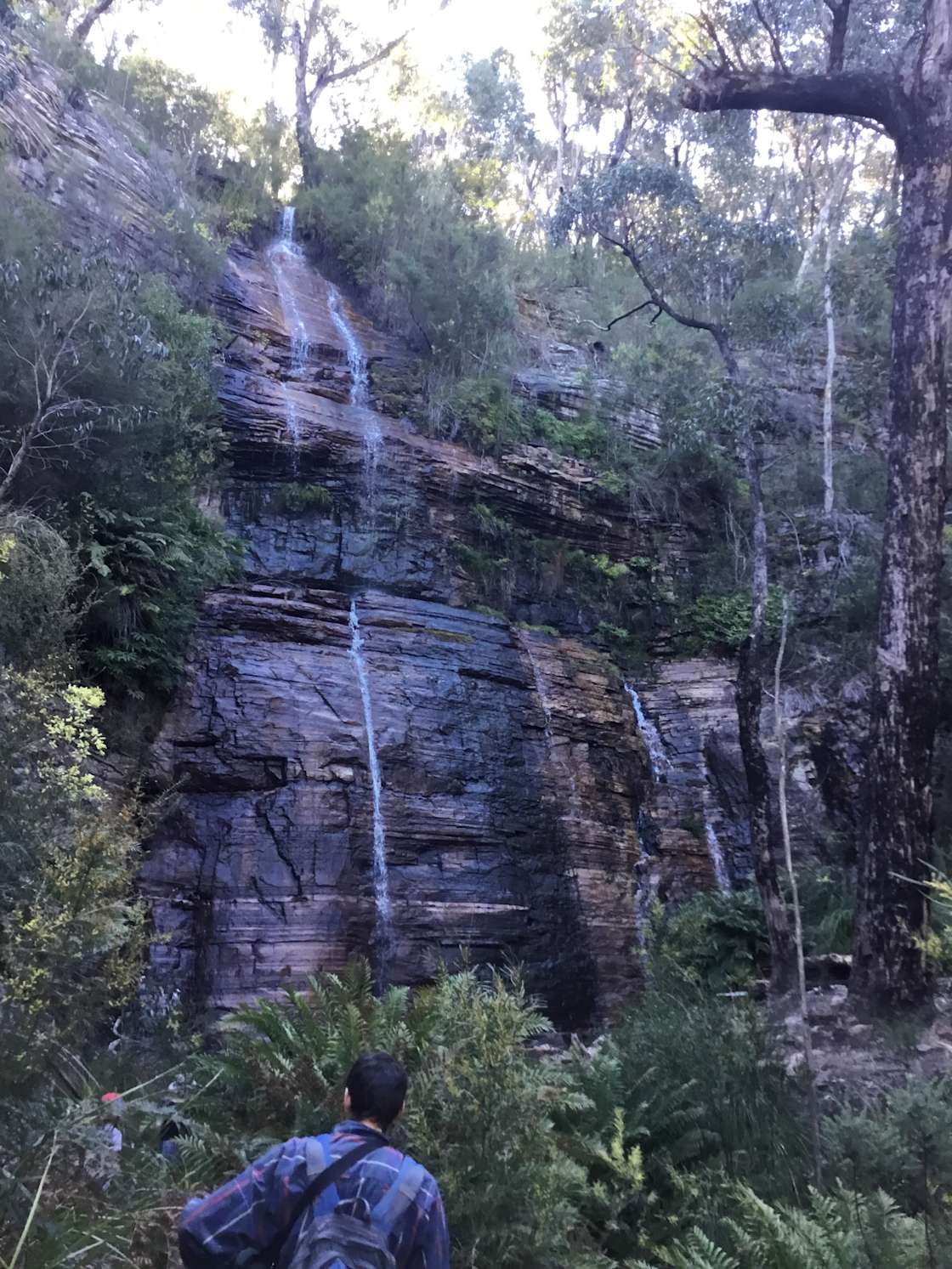 Gariwerd Farm Camp - Hipcamp in Moyston, Victoria