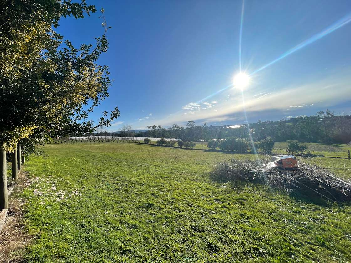 Wandin East Backyard - Hipcamp in Silvan, Victoria
