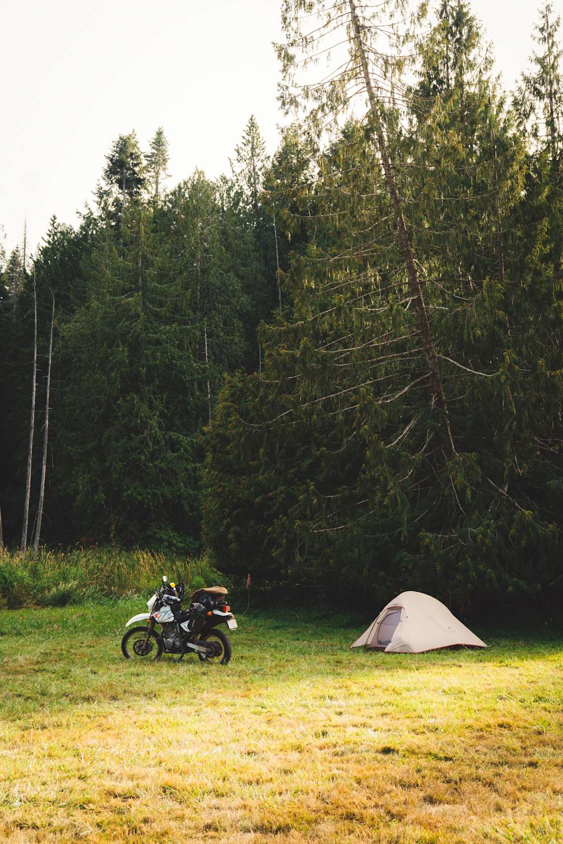 Ohana Farms - Hipcamp in North Pender Island Trust Area, British Columbia