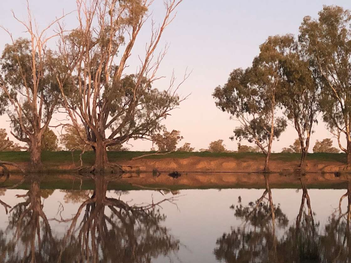 Cudgella on Bundidgerry Creek - Hipcamp in Narrandera, New South Wales