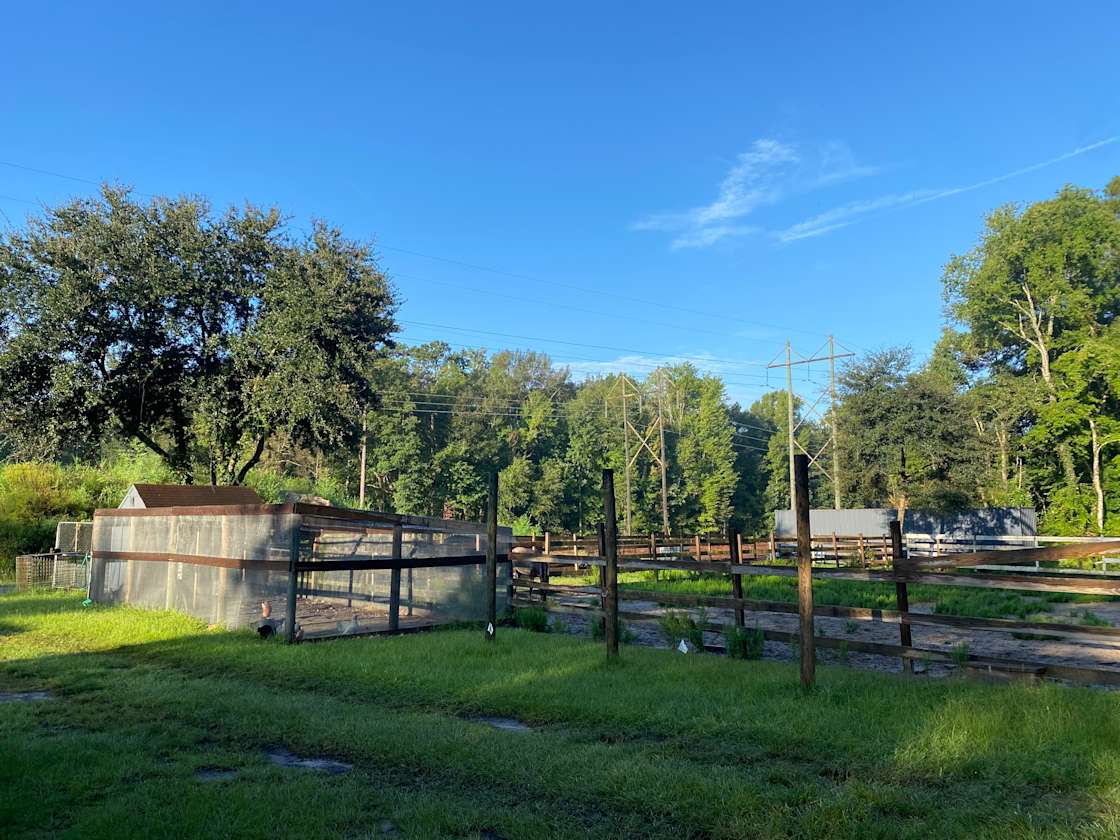 Visit County Line Road - Hipcamp in Ravenel, South Carolina