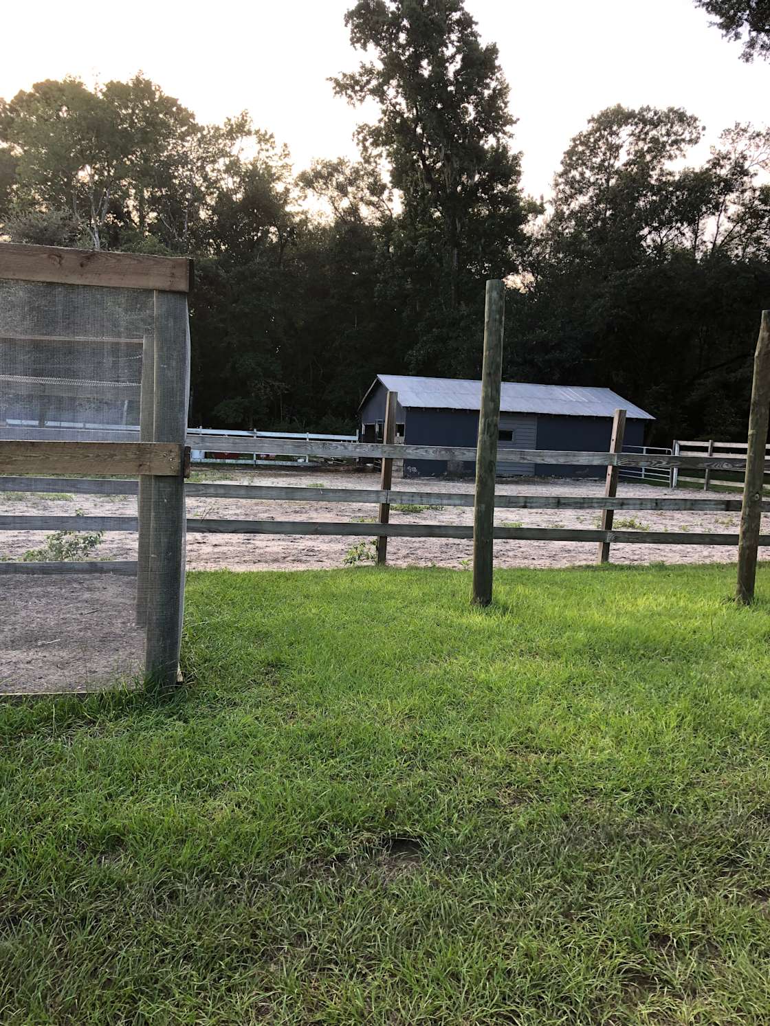 Visit County Line Road - Hipcamp in Ravenel, South Carolina