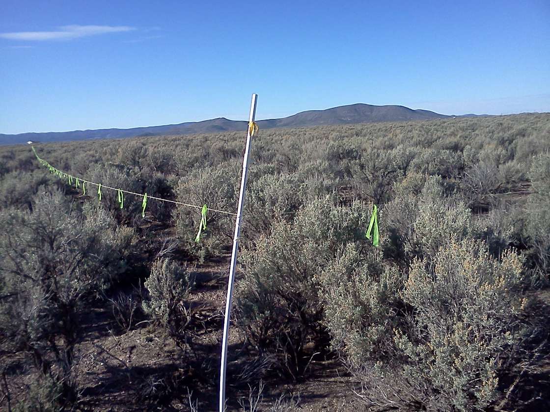 Desert Ghost Gardens Camp - Hipcamp in Beryl Junction, Utah