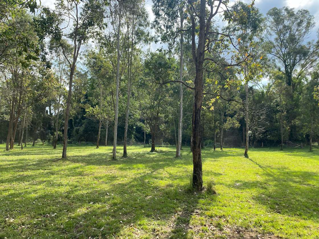 Mountain View Camping - Hipcamp in Kandanga Creek, Queensland