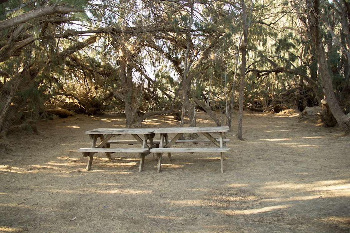 Mercey Hot Springs Resort - Hipcamp in South Dos Palos, California