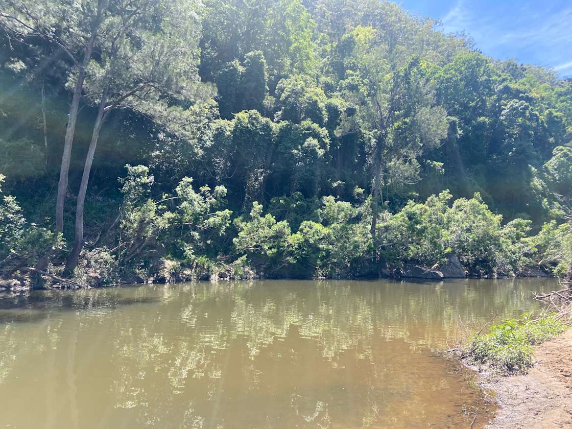 Yabba Creek Farm - Hipcamp in Imbil, Queensland