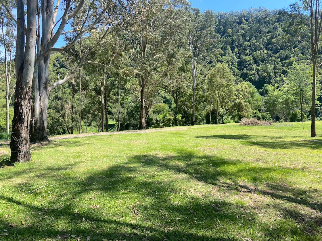 Yabba Creek Farm - Hipcamp in Imbil, Queensland