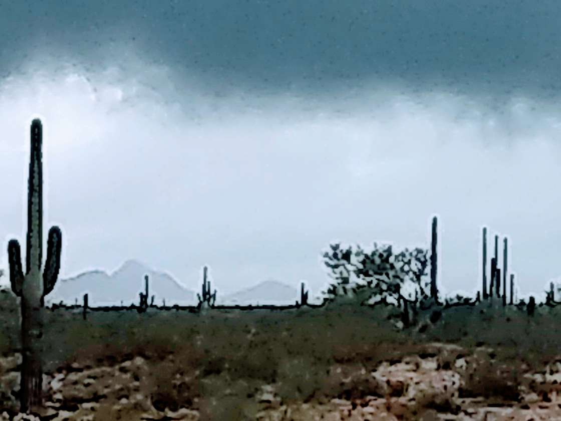 Wild Coyote Ranch - Hipcamp in Wittmann, Arizona