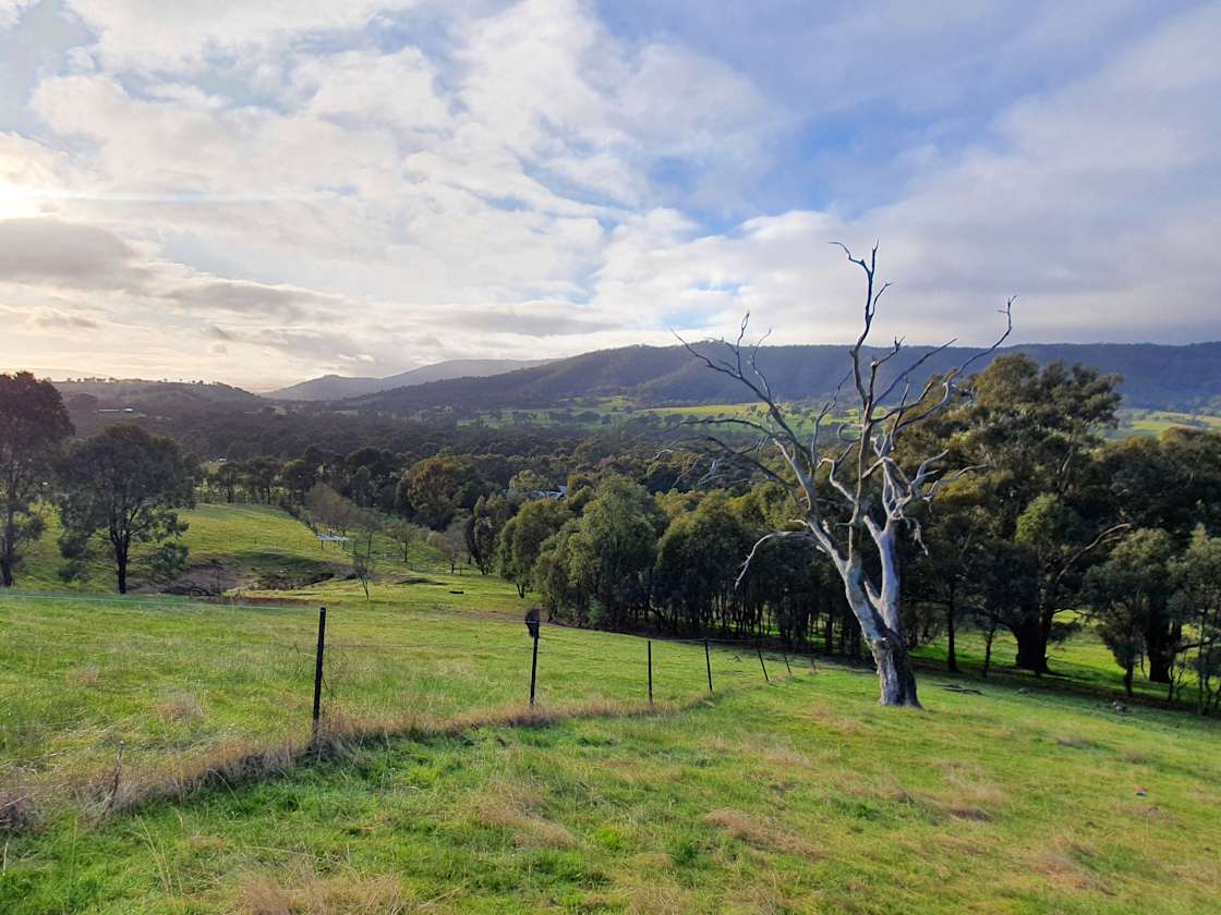 Eden Pines Farm - Hipcamp in Tallarook, Victoria