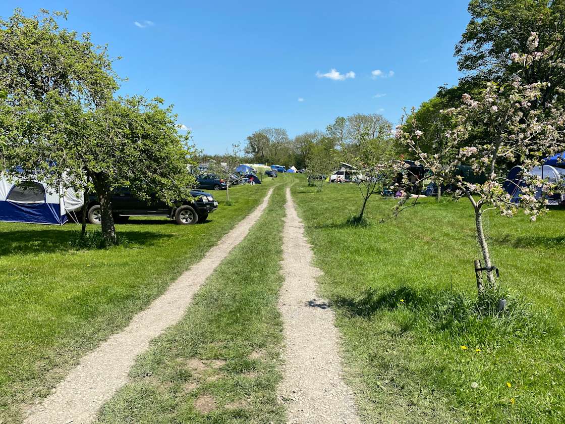 Bredy Farm - Hipcamp in Dorset, England