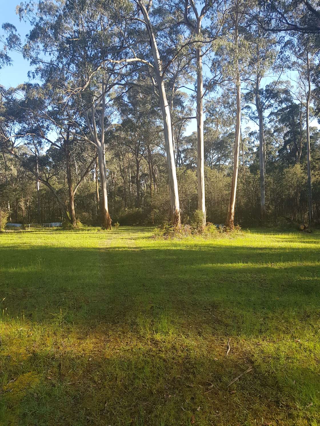 Castella River Farm - Hipcamp in Castella, Victoria