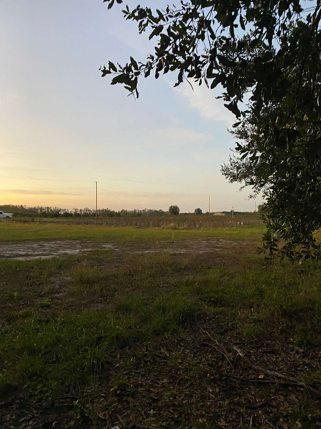 20 Acres Pond at Green Swamp - Hipcamp in Clermont, Florida