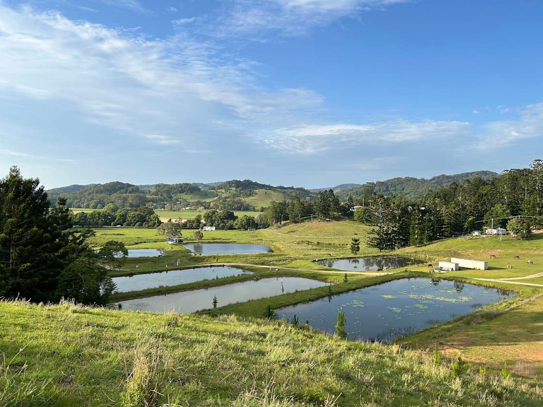 "JALUM" Undulating Farmland! - Hipcamp in Mooball, New South Wales