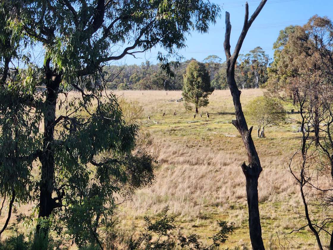 Hillside Camp on Bow River - Hipcamp in Merriwa, New South Wales