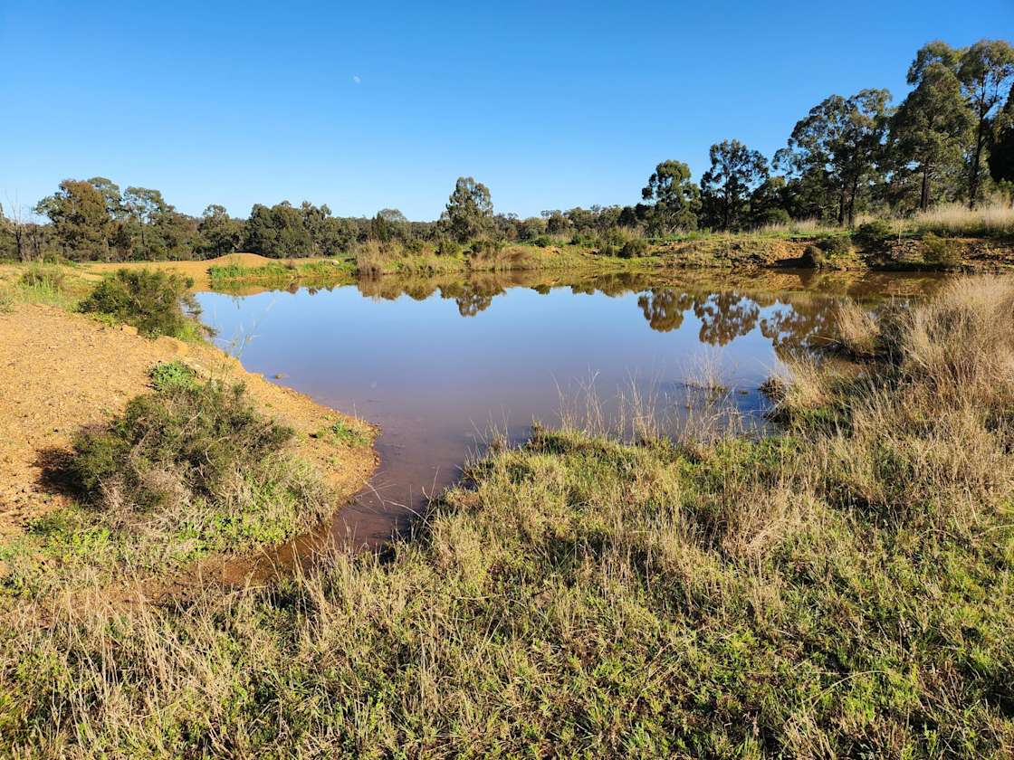 Hillside Camp on Bow River - Hipcamp in Merriwa, New South Wales