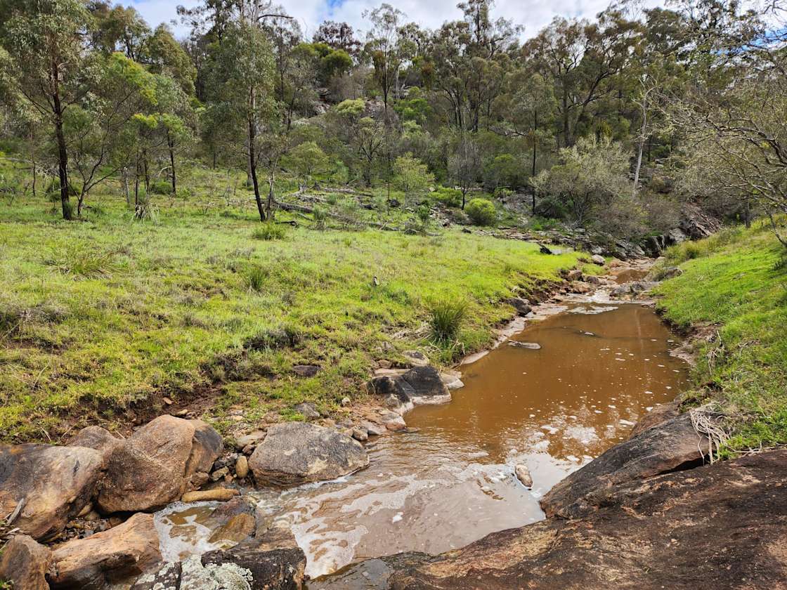 Hillside Camp on Bow River - Hipcamp in Merriwa, New South Wales