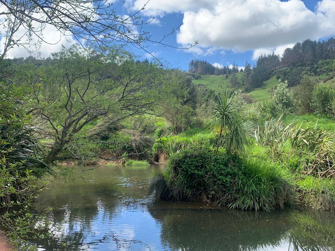 Puhoi cottage tearooms - Hipcamp